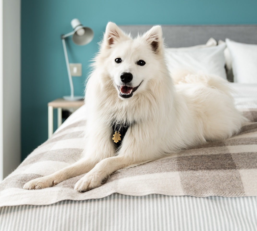 What's on? | Take a Look at Events in Woking | The Marches